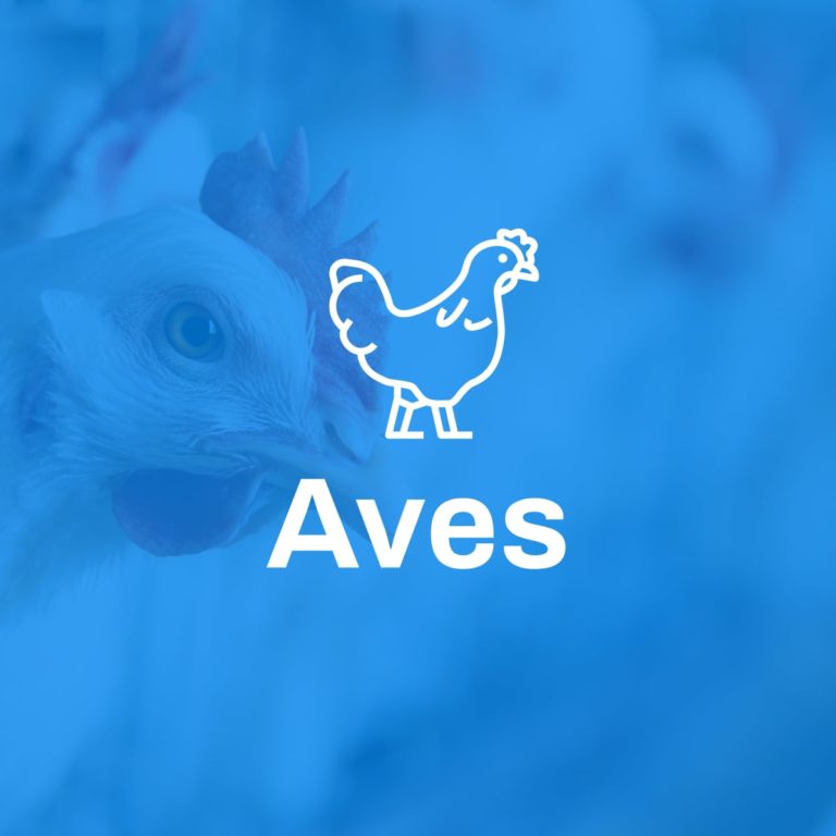 Pharmavet Corporation SAC - Productos Veterinarios de alta calidad