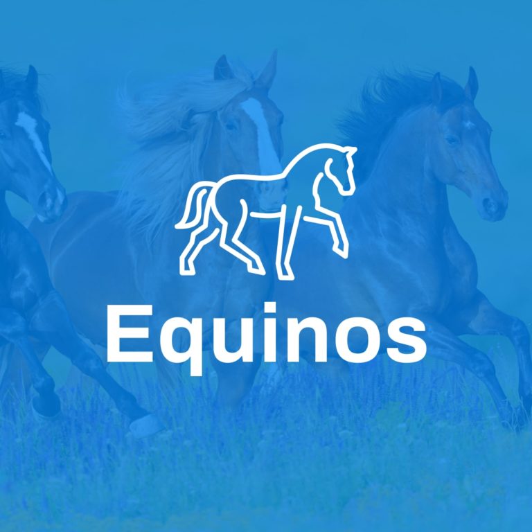 Pharmavet Corporation SAC - Productos Veterinarios de alta calidad