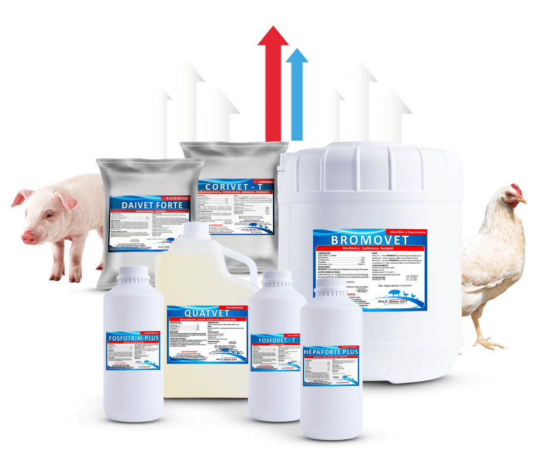 Pharmavet Corporation SAC - Productos Veterinarios de alta calidad